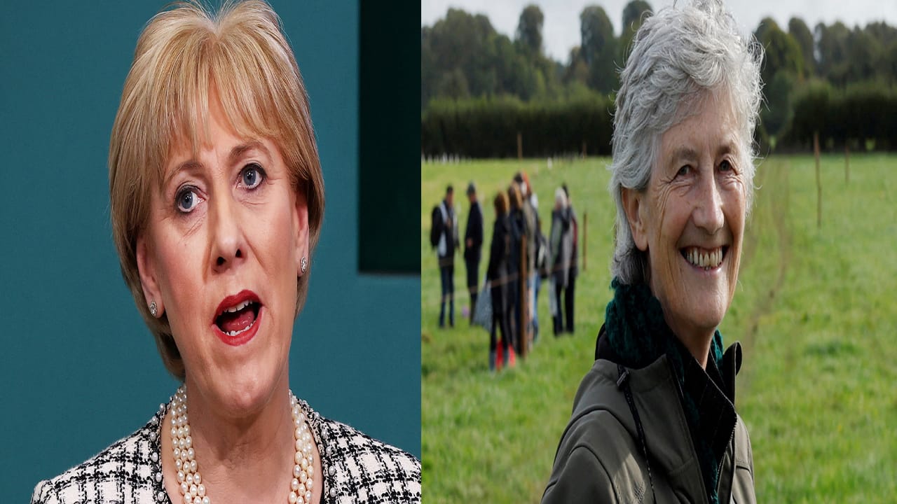 What to know about Ireland’s presidential election and why this vote is ...