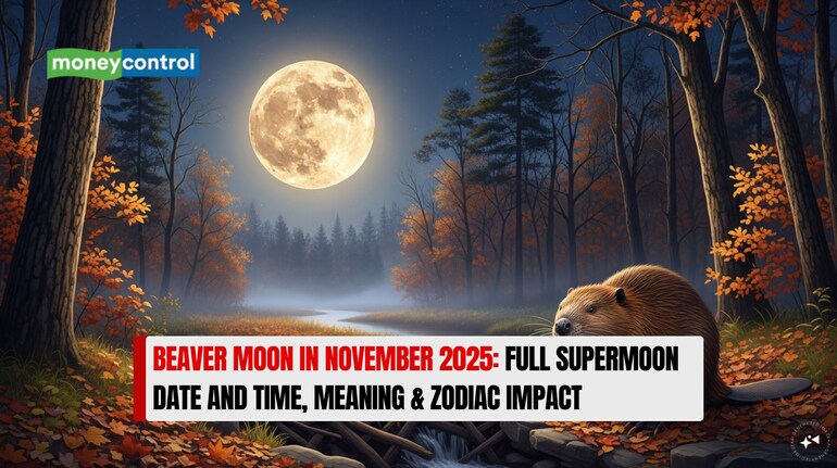 Beaver Moon in November 2025: Full Supermoon Date and Time, Meaning & Zodiac Impact