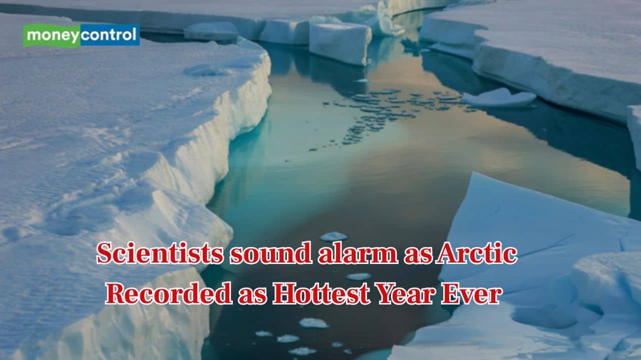 Arctic records as "hottest year ever" as temperatures surge far above ...