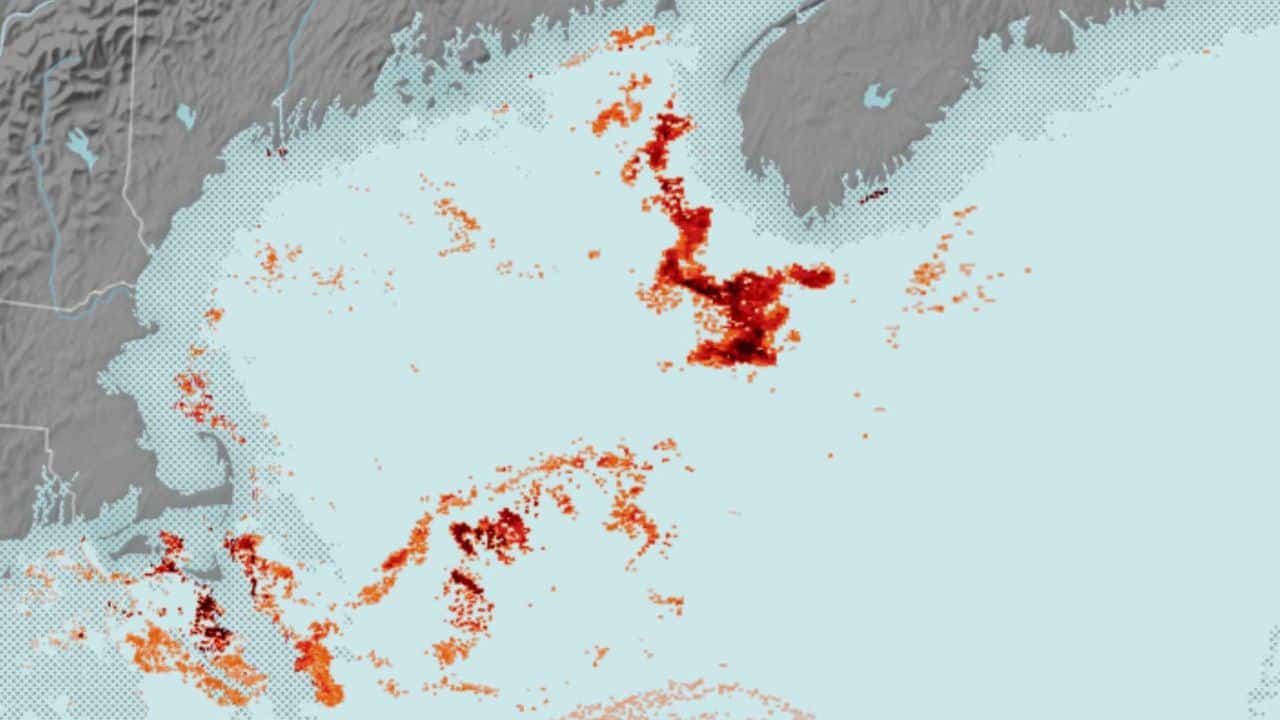 From Space to Sea: NASA satellite spot tiny Red Plankton that could ...