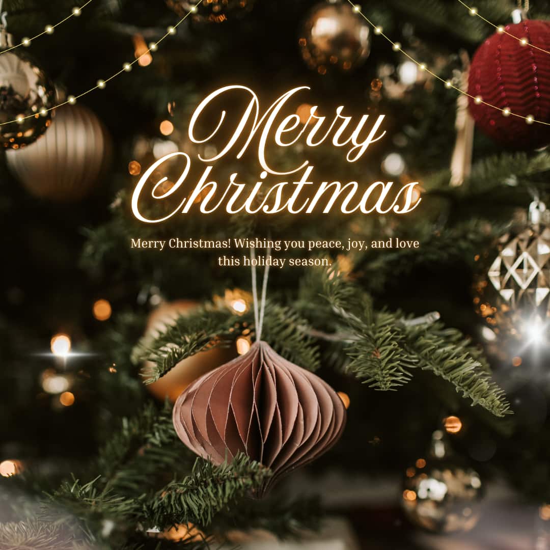 Happy Christmas Wishes: Top 50+ Images, Warm Quotes, Messages, Wishes ...