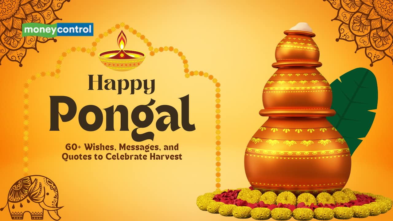 Happy Pongal 2026: 60+ Wishes, Messages, and Quotes to Celebrate Harvest