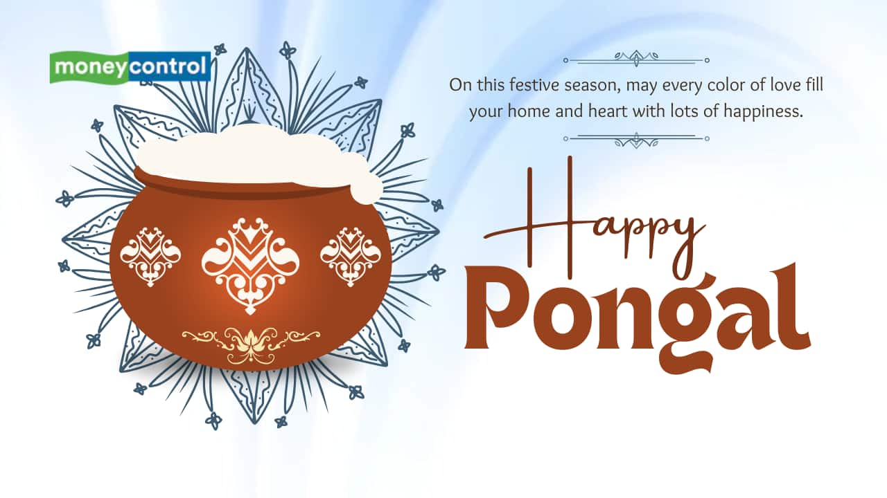 Pongal 2026 Wishes: 40+ Heartfelt Quotes and Wishes for a Prosperous ...