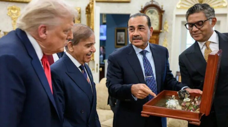 Pakistan lands in US visa freeze: Why Trump shut the door on Asim Munir ...