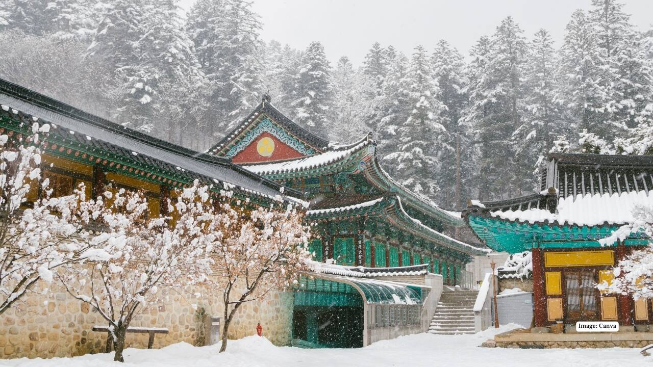 Chasing snow in 2026? These 6 Asian destinations are pure winter magic