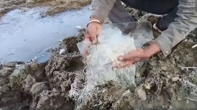 Video | Rajasthan town locked in deep freeze as mercury dips to minus 7 ...