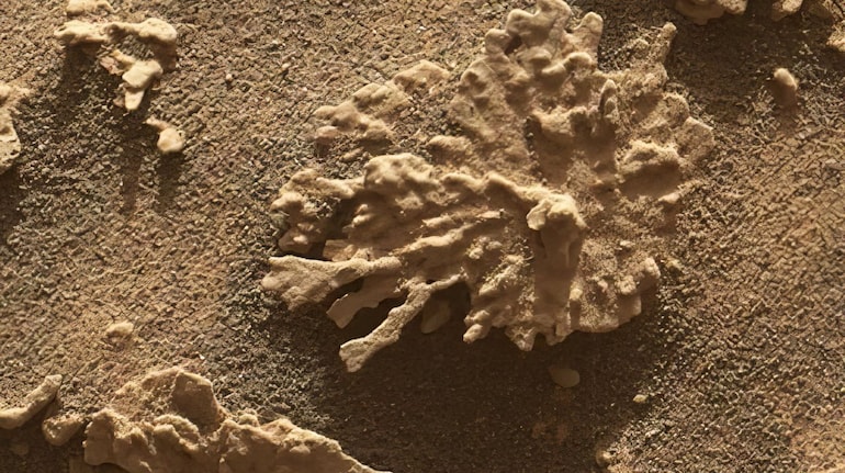 NASA’s Curiosity finds "coral-shaped rock" on Mars, hinting at ancient ...