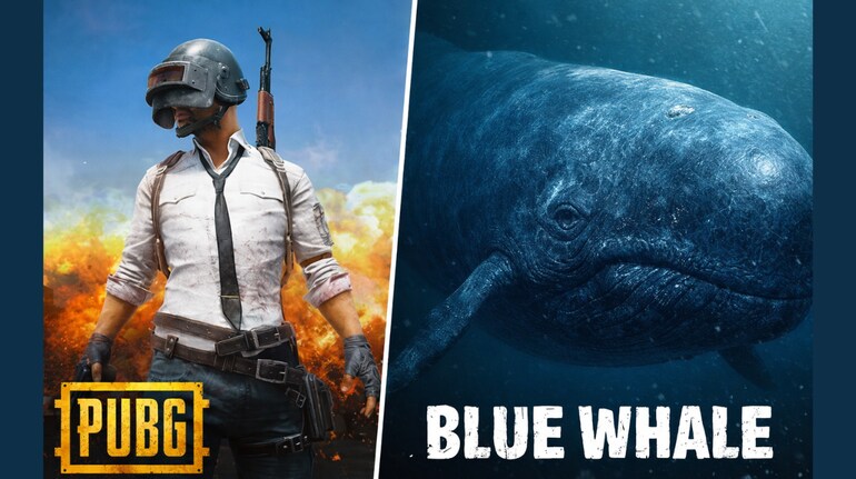 Ghaziabad sisters suicide: Korean Love Game to Blue Whale, 5 games and ...