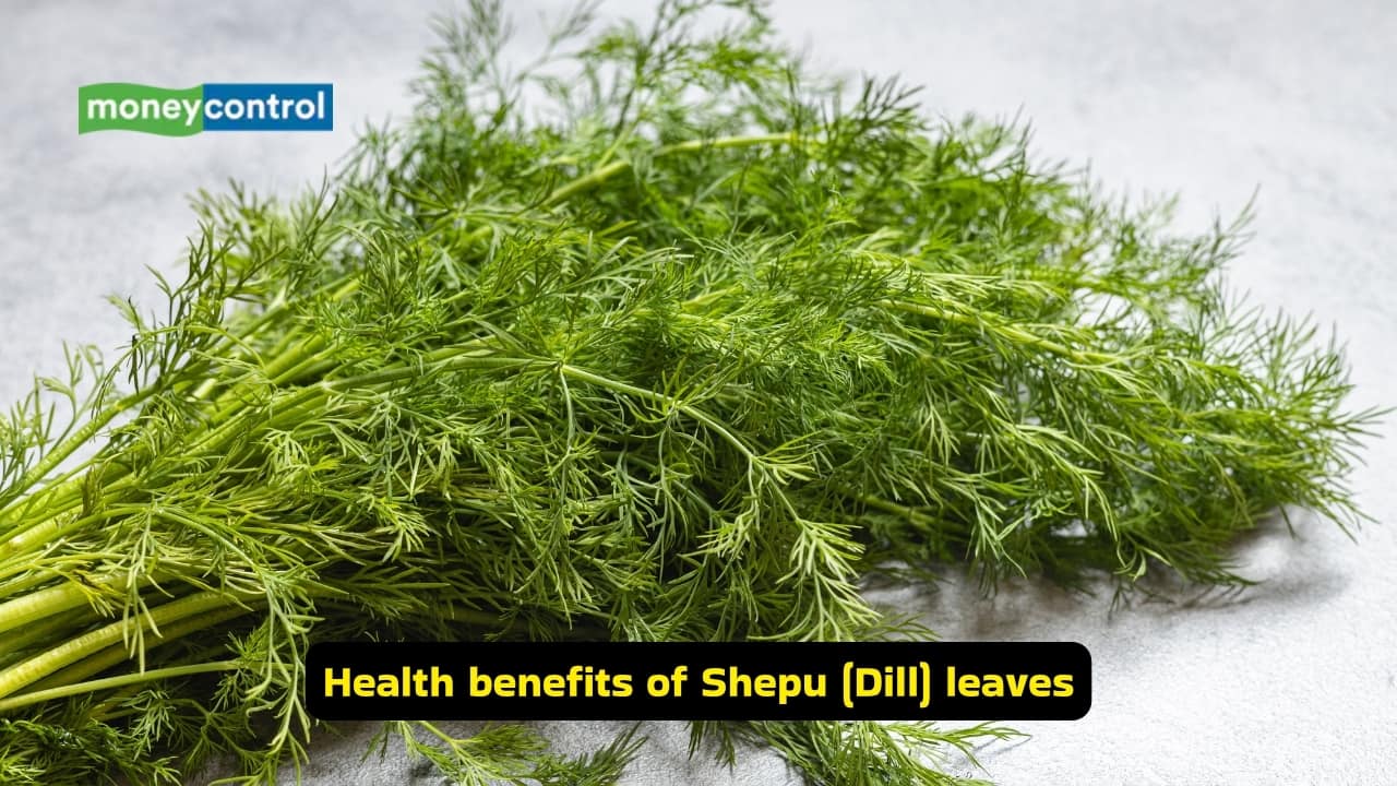 Benefits of shepu: Here's how dill leaves in daily diet helps reduce ...