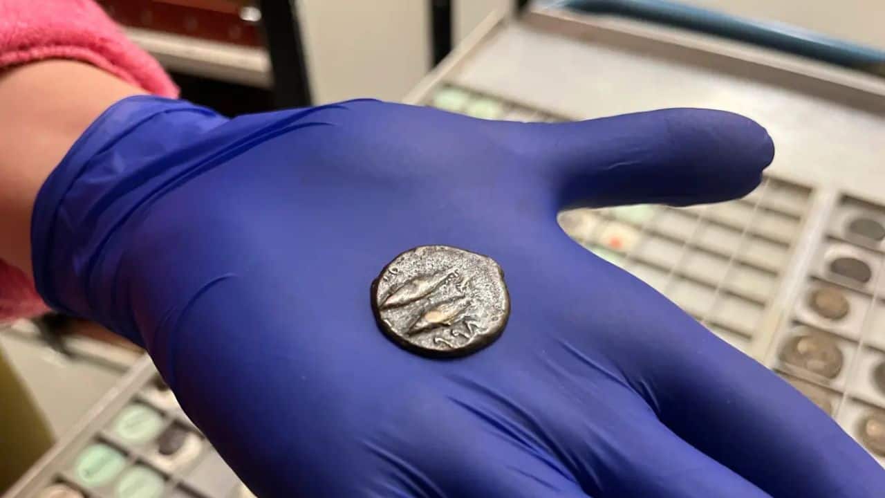 A bus fare that turned into a 2,000-year-old discovery