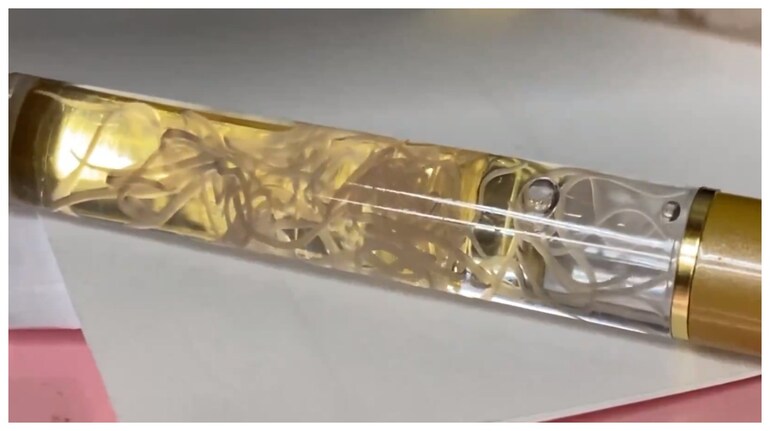 Japanese novelty pen contains preserved Anisakis parasite that can ...