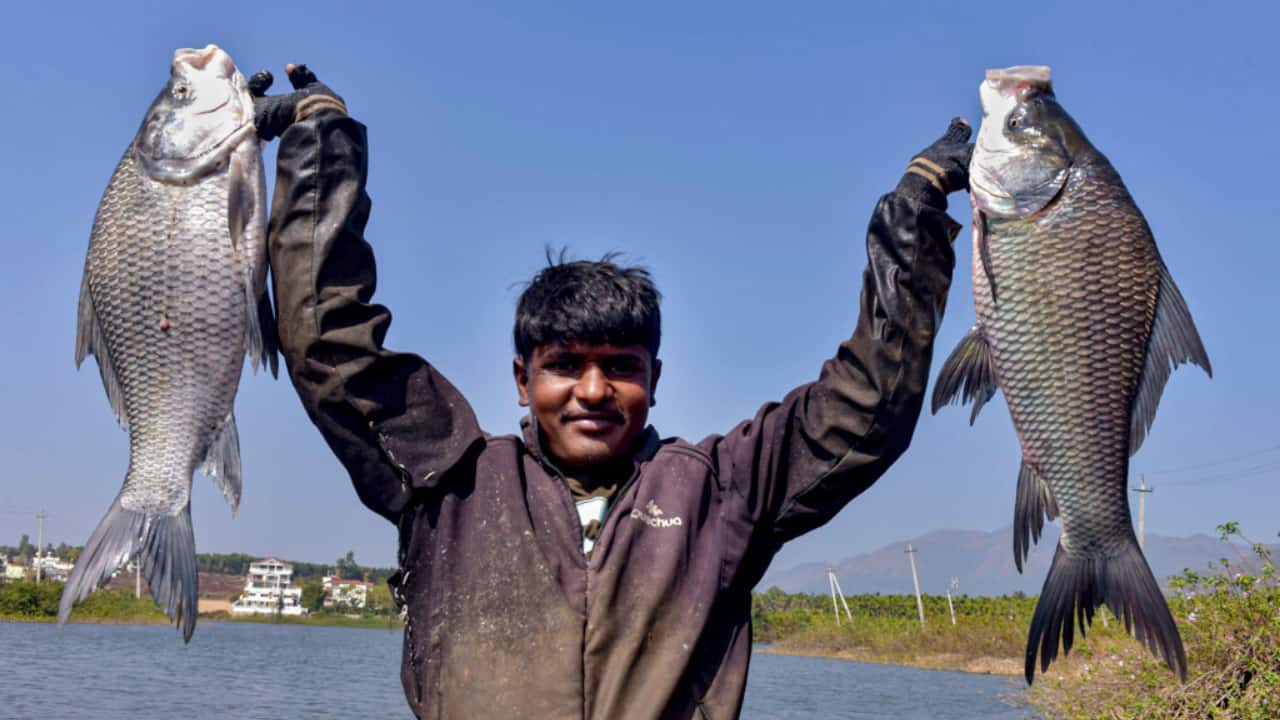Fisheries department exploring PLI scheme for seafood sector MSMEs ...