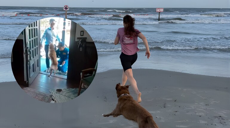 A Hero Welcome! How Artemis II astronaut Christina Koch re-united with ...
