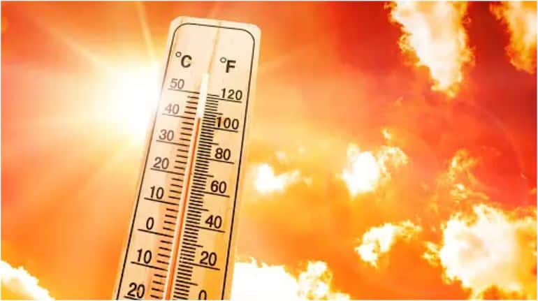 IMD heatwave alert: Use your AC with these settings to beat the heat