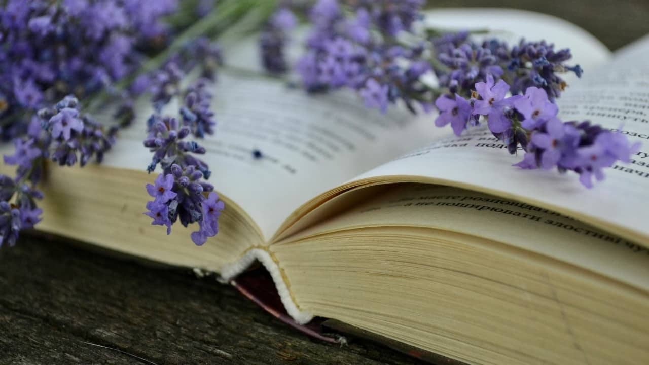 World Book Day 2026: The value of reading a book more than once, how ...