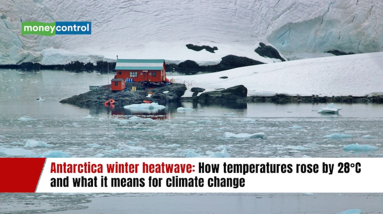 Antarctica winter heatwave: How temperatures rose by 28°C and what it ...