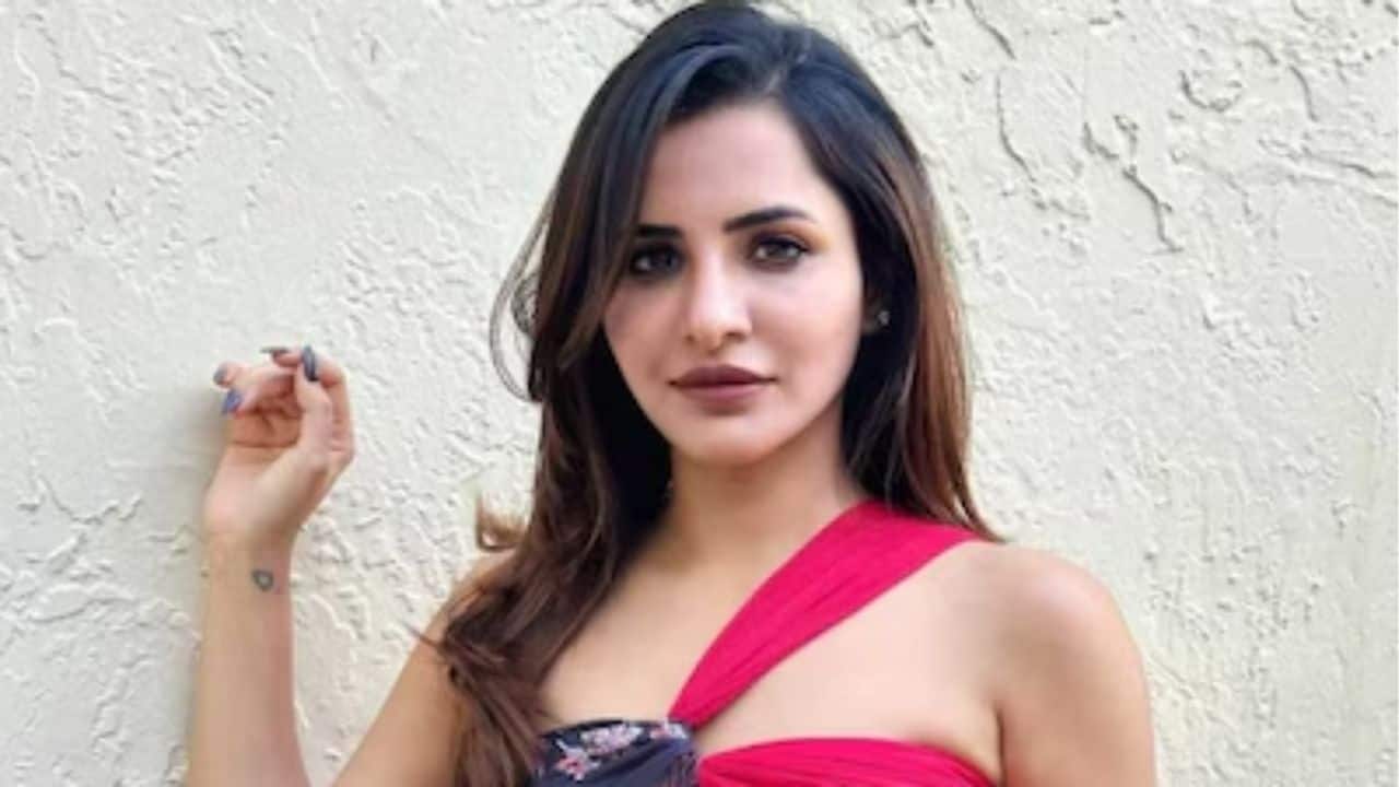 Ashu Reddy breaks silence on cheating allegations, calls claim 'false'