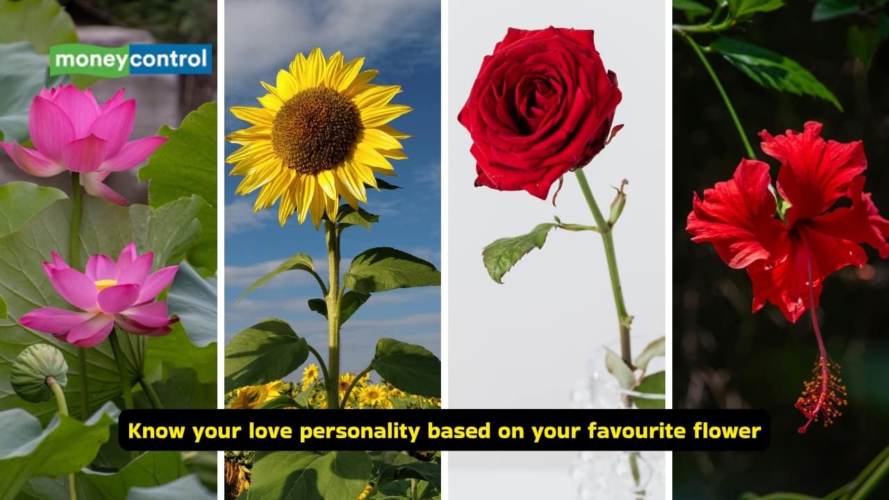 Lotus, hibiscus, sunflower, rose, orchid: Your love personality is ...