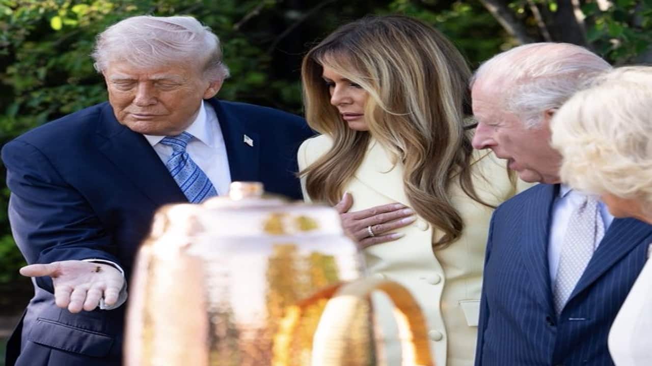 Donald Trump holds live bee at White House, leaving King Charles III ...
