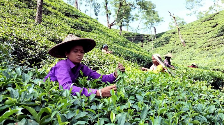 Guess which city is known as the chai capital of India