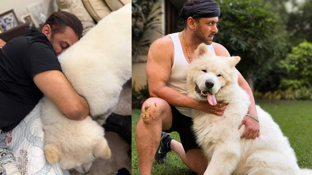 Salman Khan cuddles 'My Sukh' in adorable post amid bodyguard testimony ...