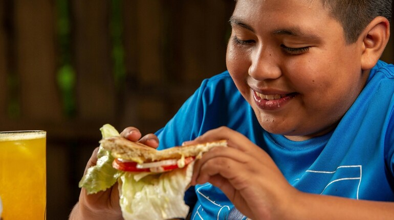 Childhood obesity triggered by ultra-processed diets, sedentary habits ...
