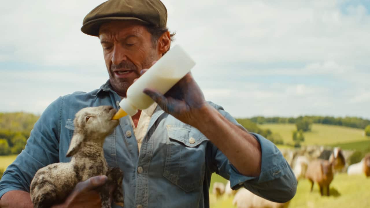 Hugh Jackman calls The Sheep Detectives a film about “growing up in all ...