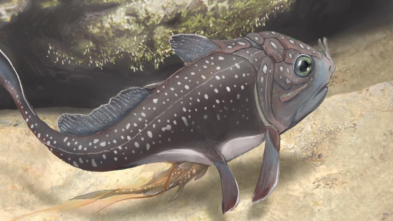 Sir David Attenborough turned 100: Meet these 5 incredible organisms ...