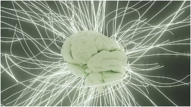 Elon Musk’s brain chip firm unveils robot that could revolutionise ...