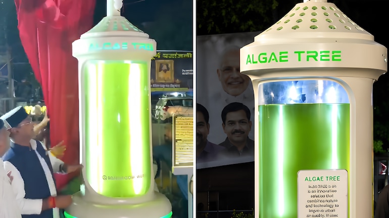 India’s first “Algae Tree” in Bhopal claims to work like 25 trees — But ...