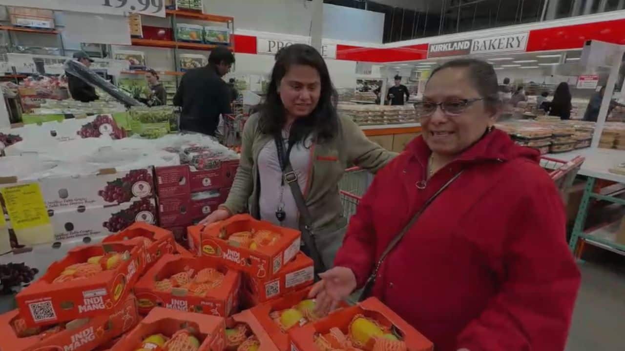 Indian mangoes fly off shelves in Seattle, Kesar variety sells out ...