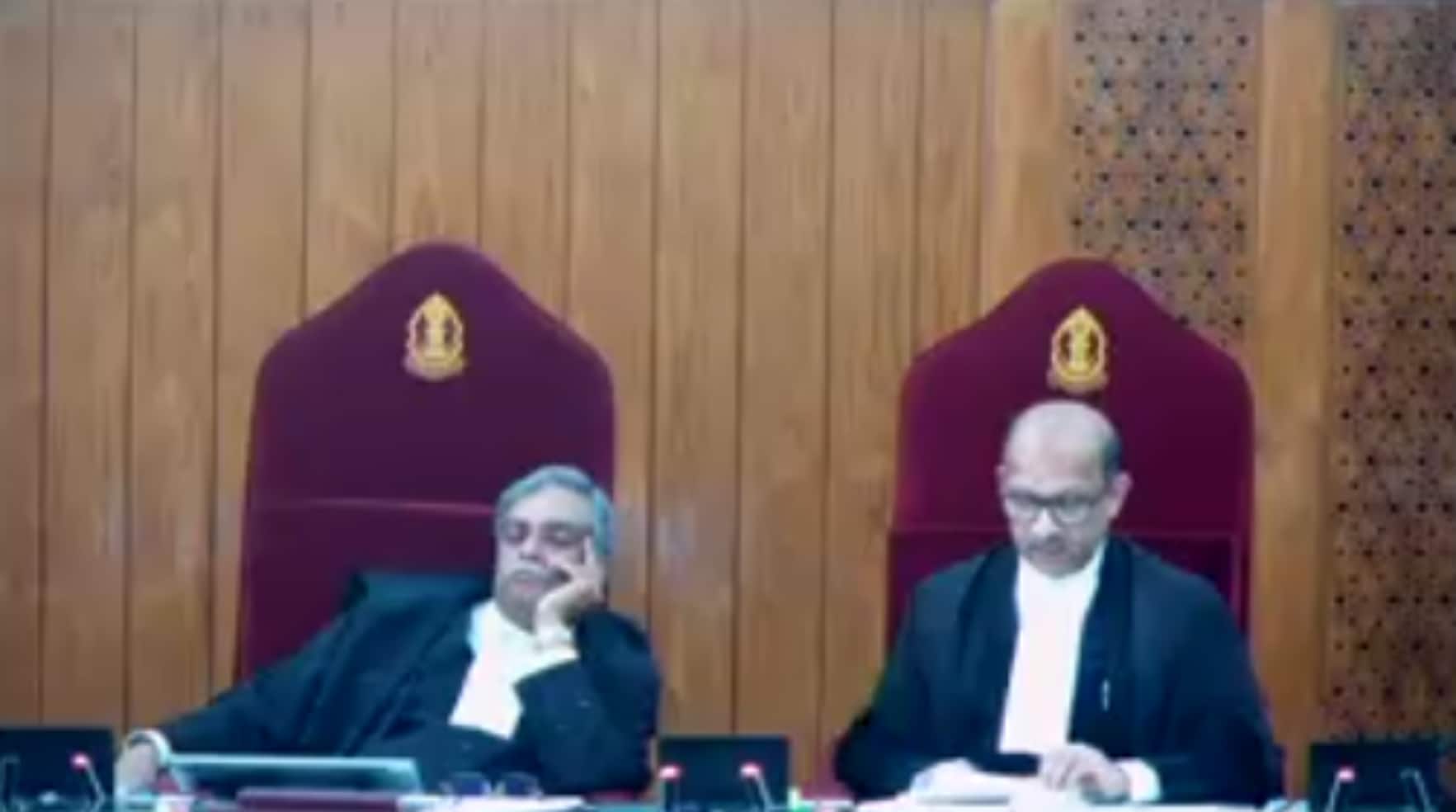 Stray dogs case: SC upholds removal order, says Article 21 includes ...