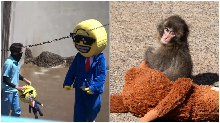2 US tourists held for trying to enter viral baby monkey Punch's ...