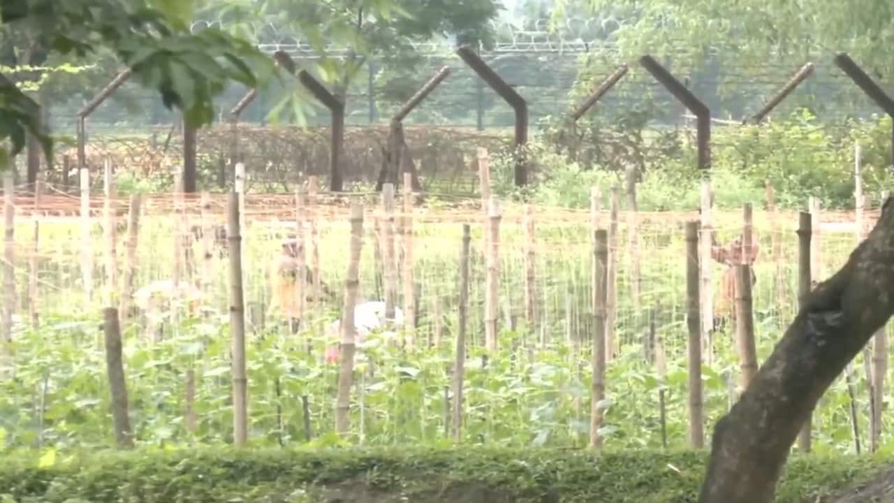 Barbed wire, BSF & big promises: Fencing begins in Bengal's Phansidewa ...