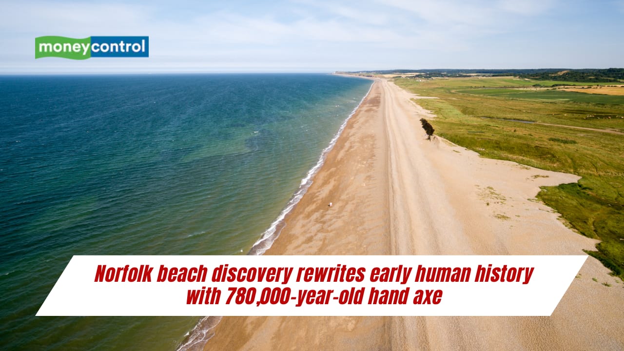 Norfolk beach discovery rewrites early human history with 780,000-year ...