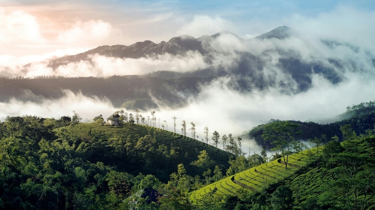Summer Vacation 2026: 5 best hill stations in Kerala to visit with children