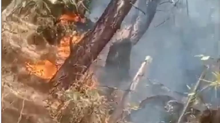IAF deploys Mi-17, Chinook helicopters to douse Kasauli forest fire