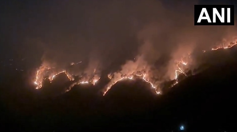 Watch: Massive forest fire erupts in Himachal’s Solan, huge plumes of ...