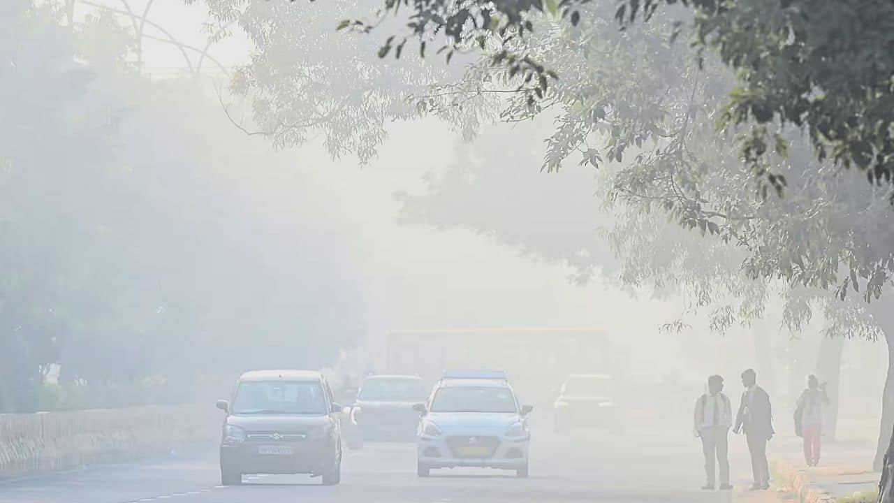 Delhi targets dust pollution and traffic chaos with green corridor ...