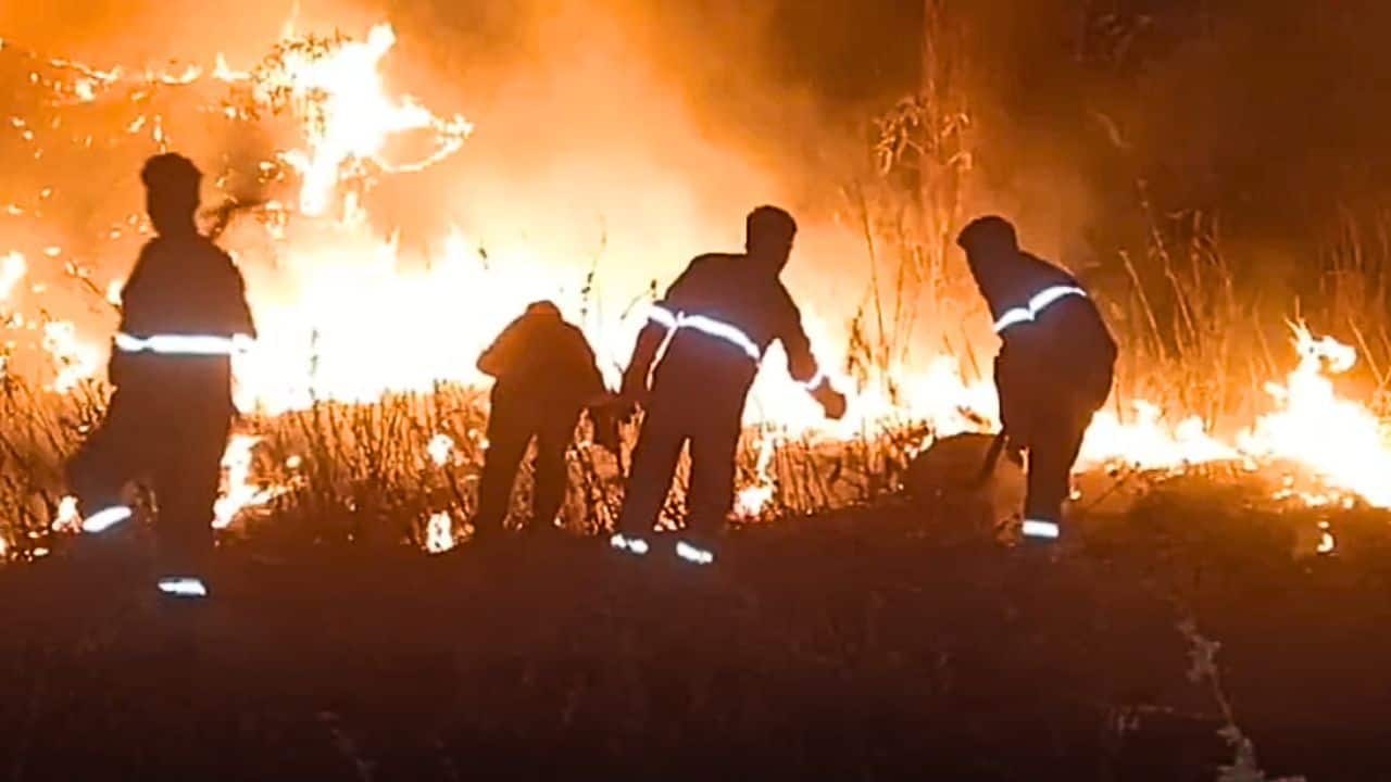 447 wildfires in Uttarakhand this season as winds push flames towards ...