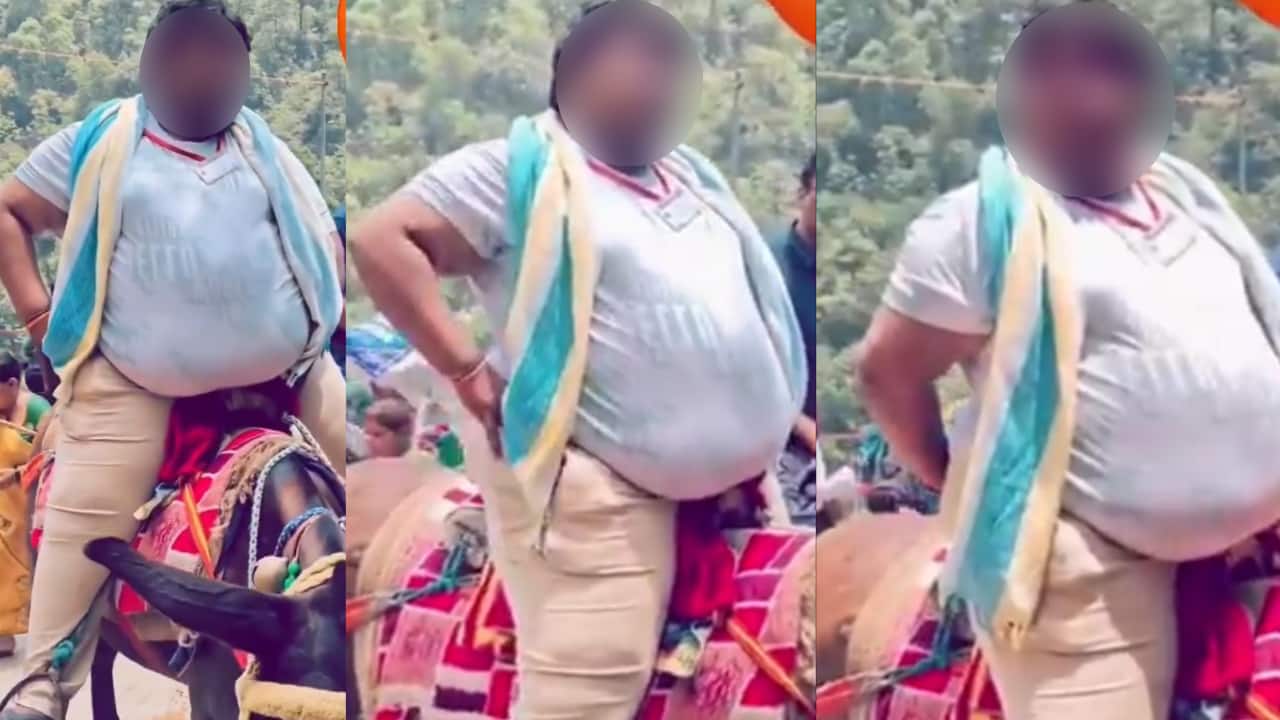 'Stop animal cruelty': Viral video of mule carrying heavily built man ...
