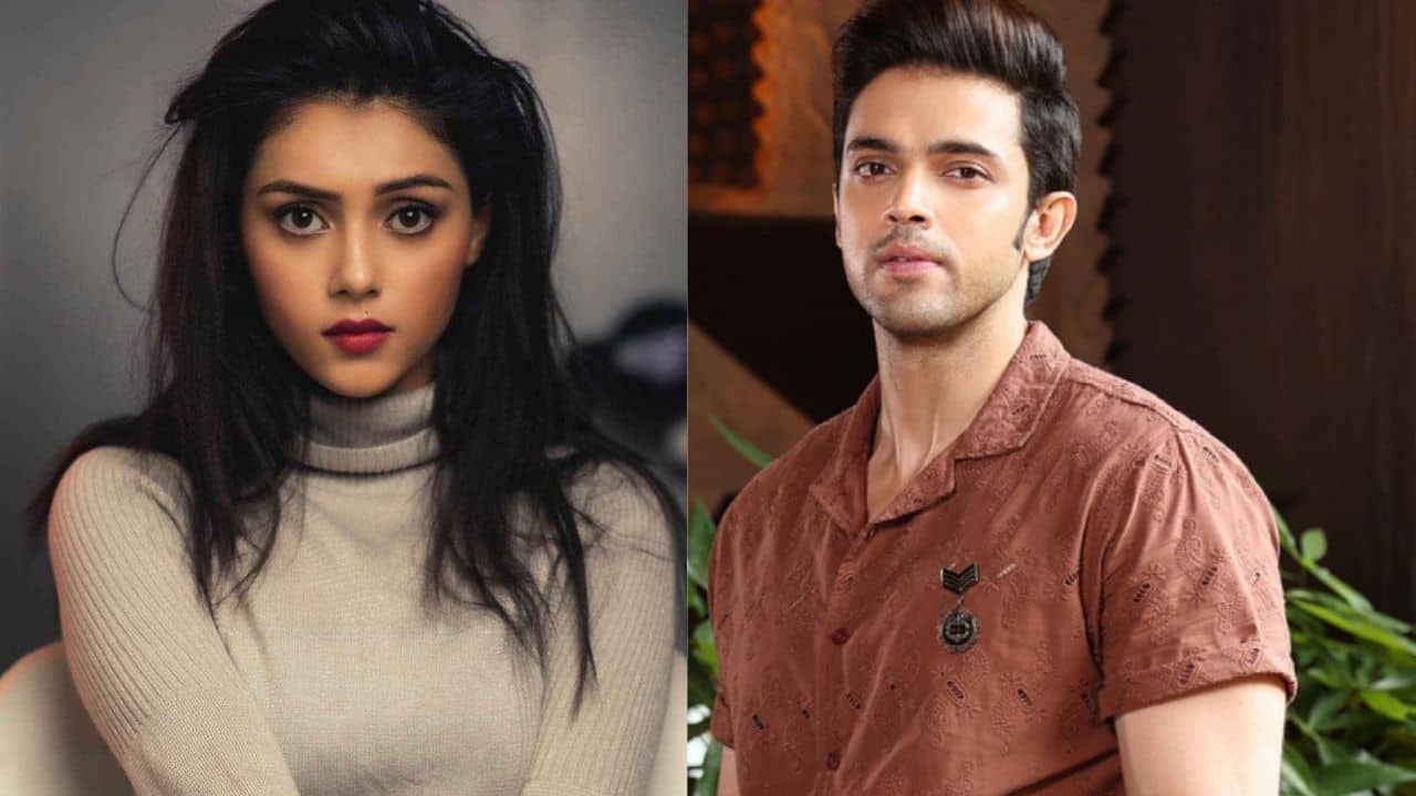 Seher Hone Ko Hai: Mallika Singh, famous for playing Radha in ...