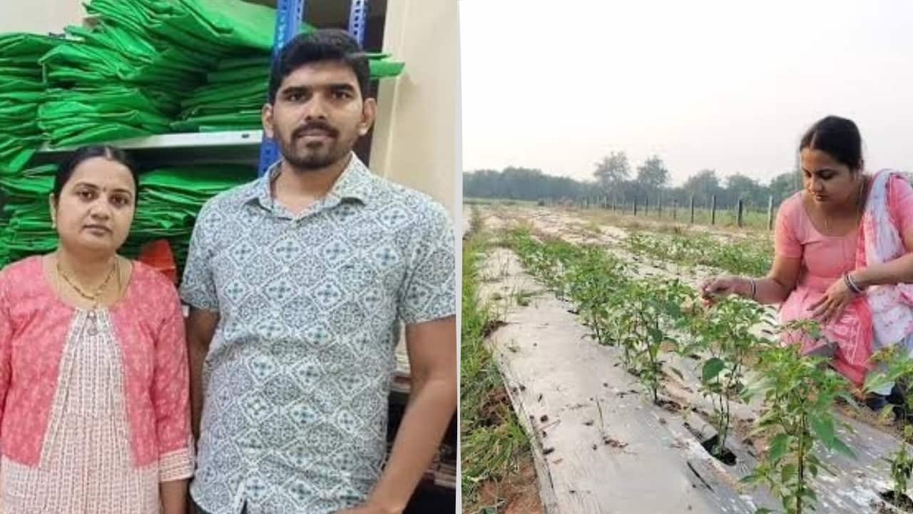 This Indian couple earns Rs 50 lakh a year by selling native seeds to ...