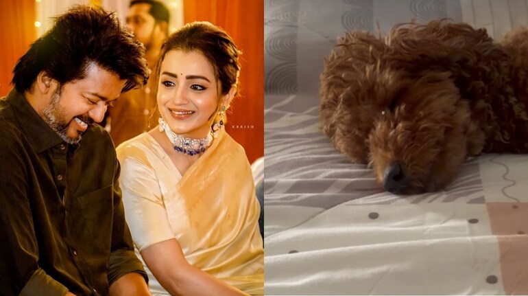 Trisha Krishnan responds to online trolls on relationship rumours with ...