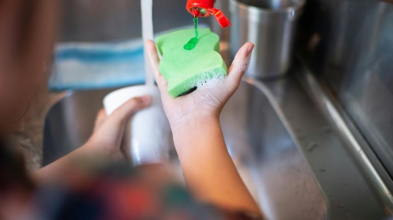 Your kitchen sponge is quietly releasing microplastics in your dishes ...