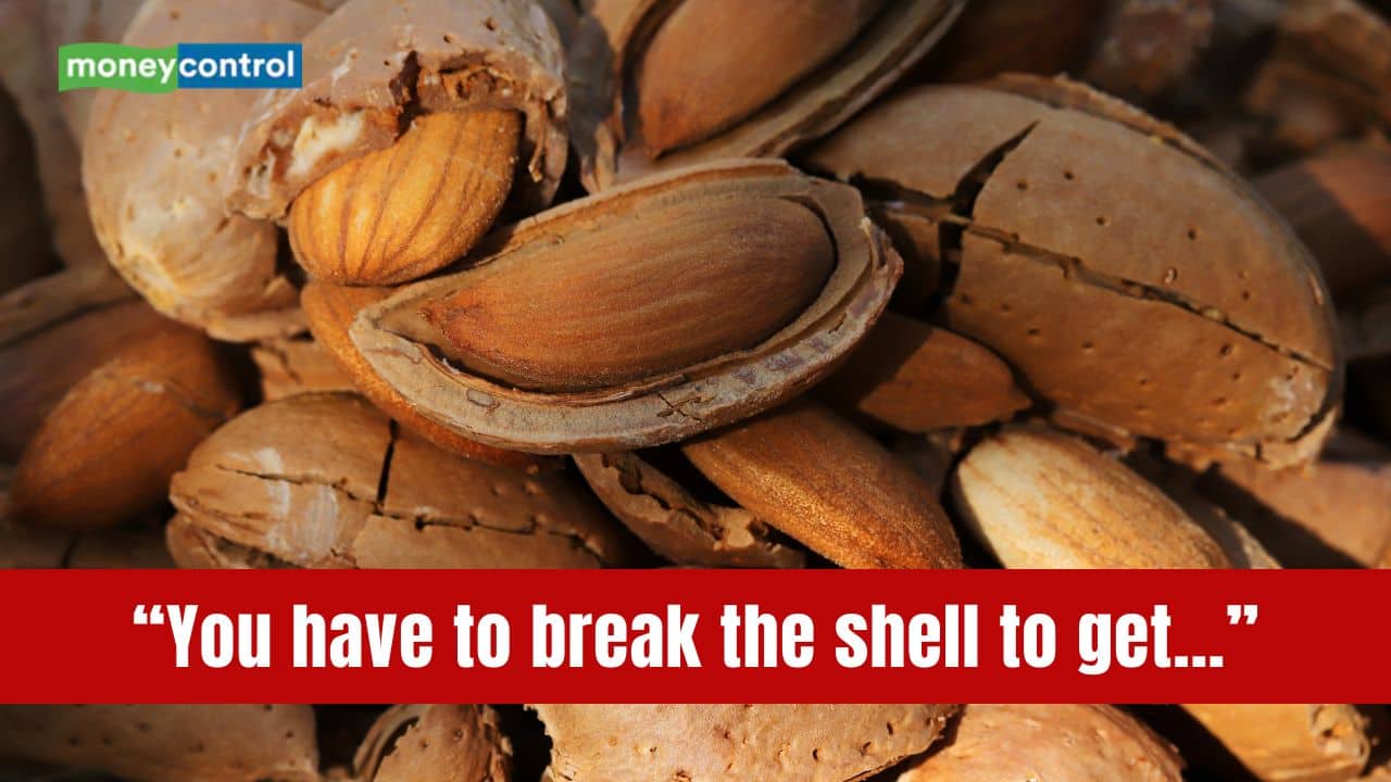 French Proverb Of The Day: "You have to break the shell to get ...