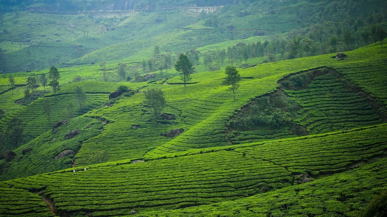 7 hills stations that are risky to visit during monsoon season