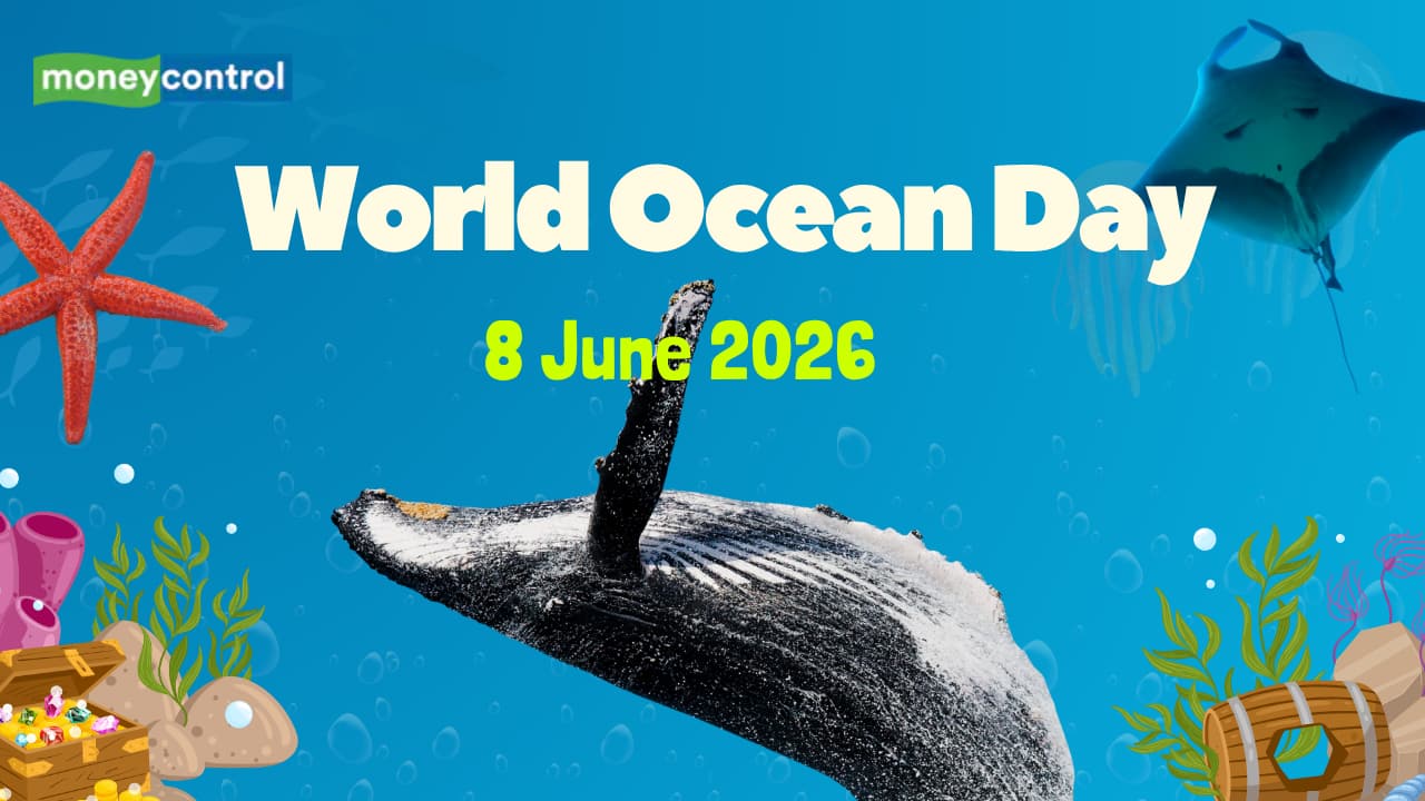 World Ocean Day 2026: 5 endangered animals of the Indian Ocean making a ...