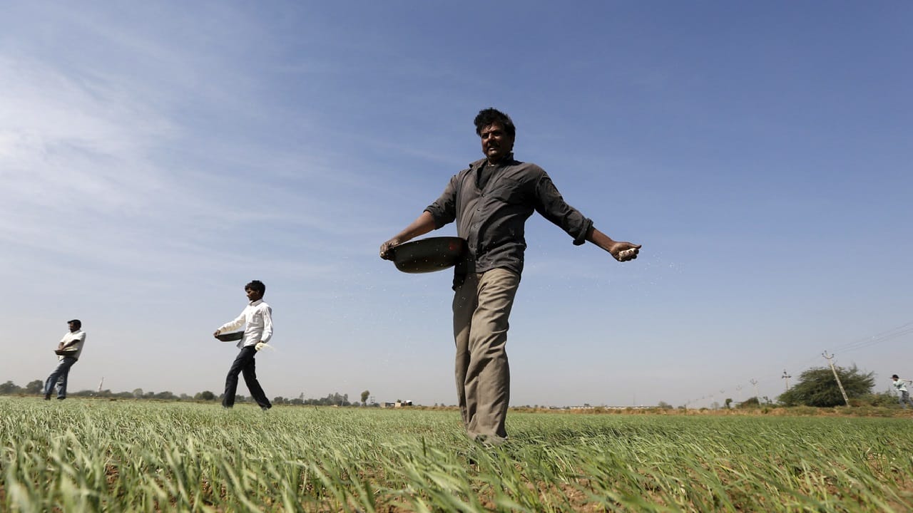FACT, RCF, other fertiliser shares rise up to 5% as subsidy may double ...