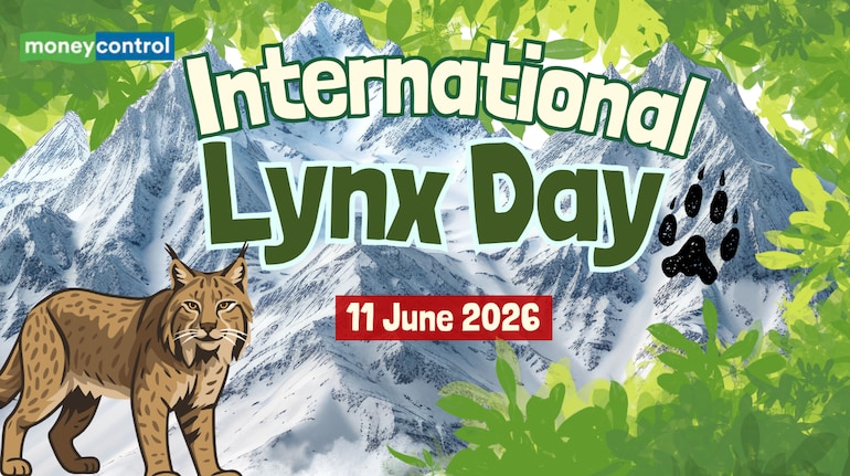 International Lynx Day 2026: Who is the rare ‘Himalayan lynx’ found in ...